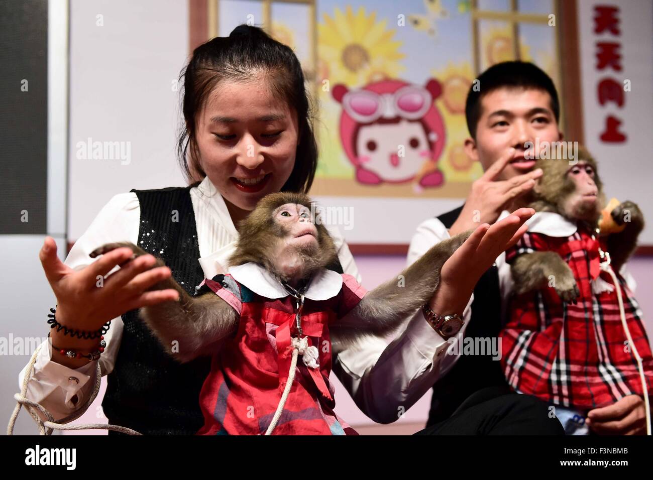 Jinan, China's Shandong Province. 10th Oct, 2015. Zoo staff play with ...