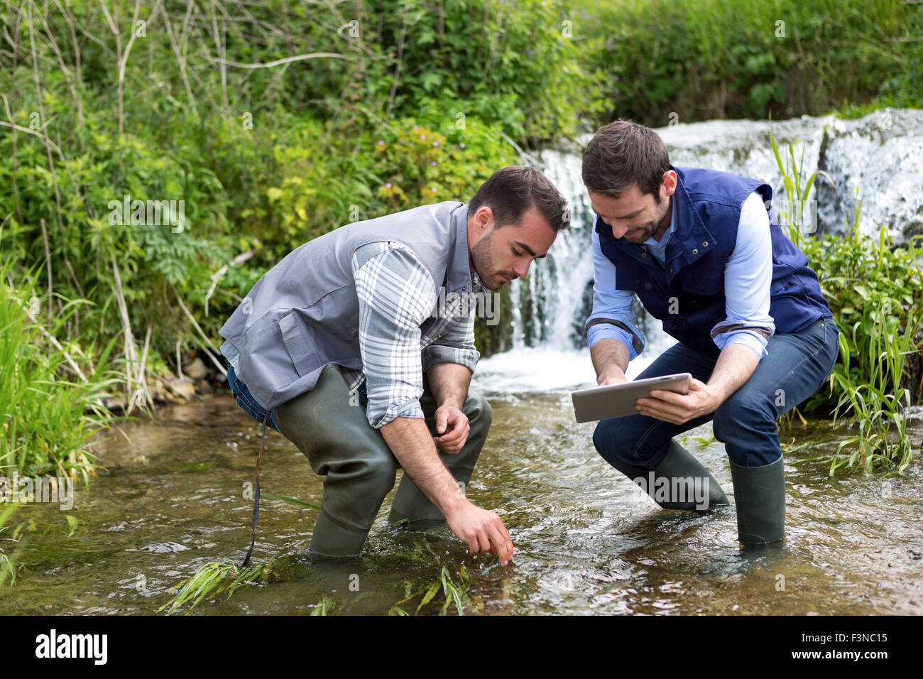 View of a Scientist and biologist working together on water analysis ...