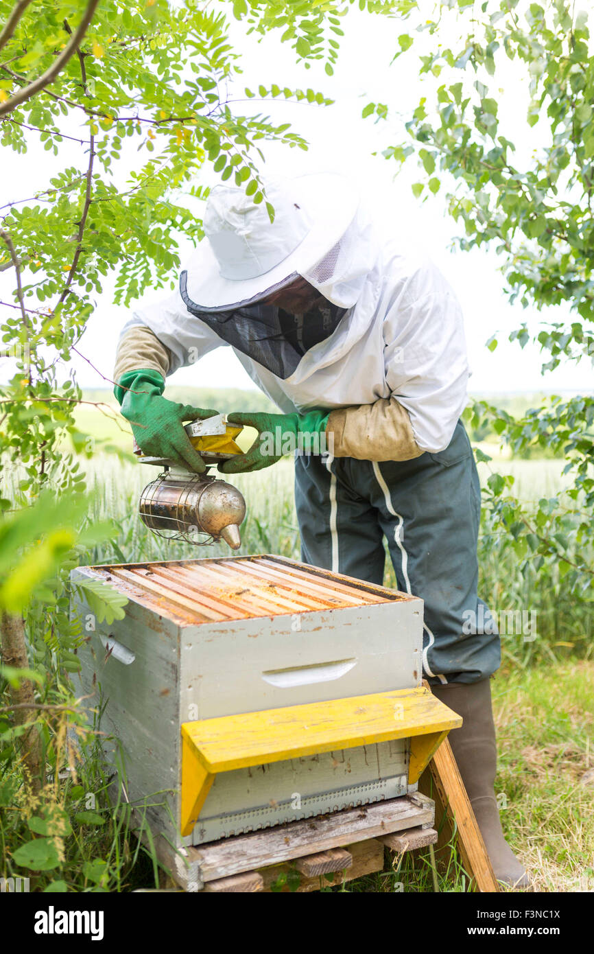 VIew of a Beekeeper working on his beehives in the garden Stock Photo ...