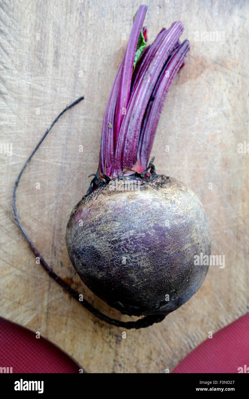 Fresh Uncooked Beetroot Stock Photo - Alamy