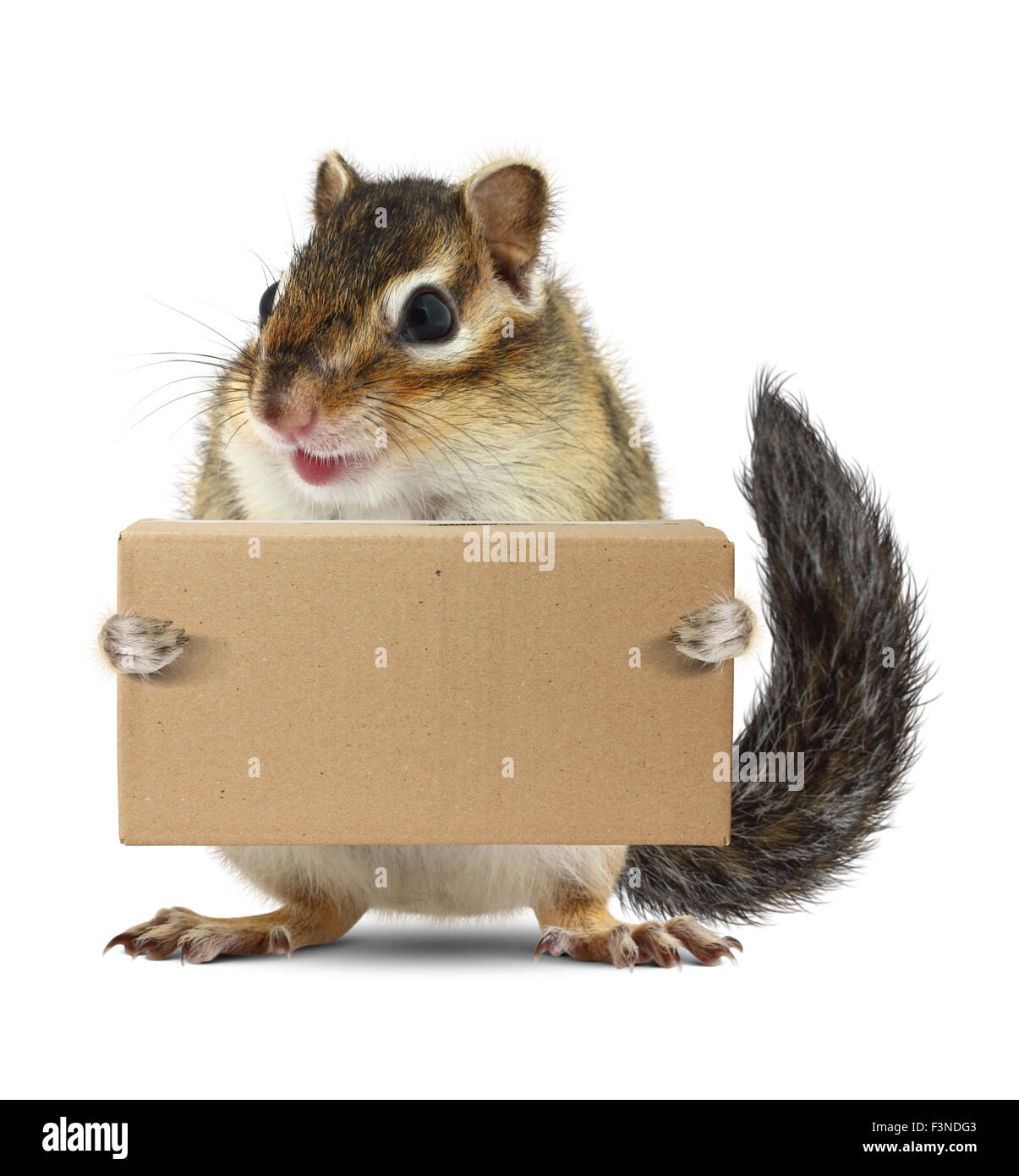 Funny post box hi-res stock photography and images - Alamy