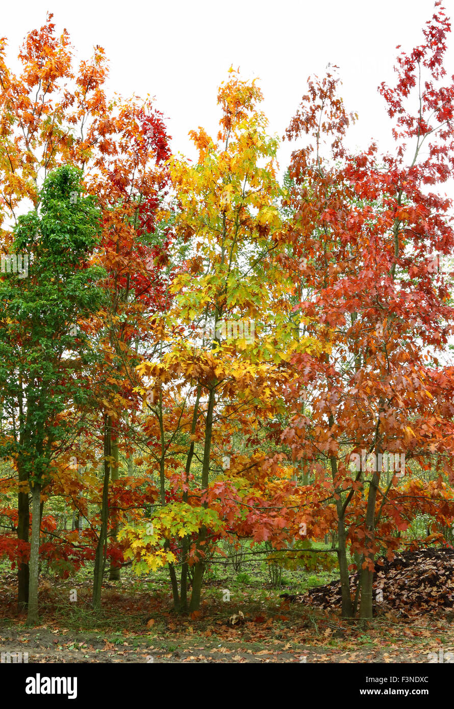 Southill hi-res stock photography and images - Alamy