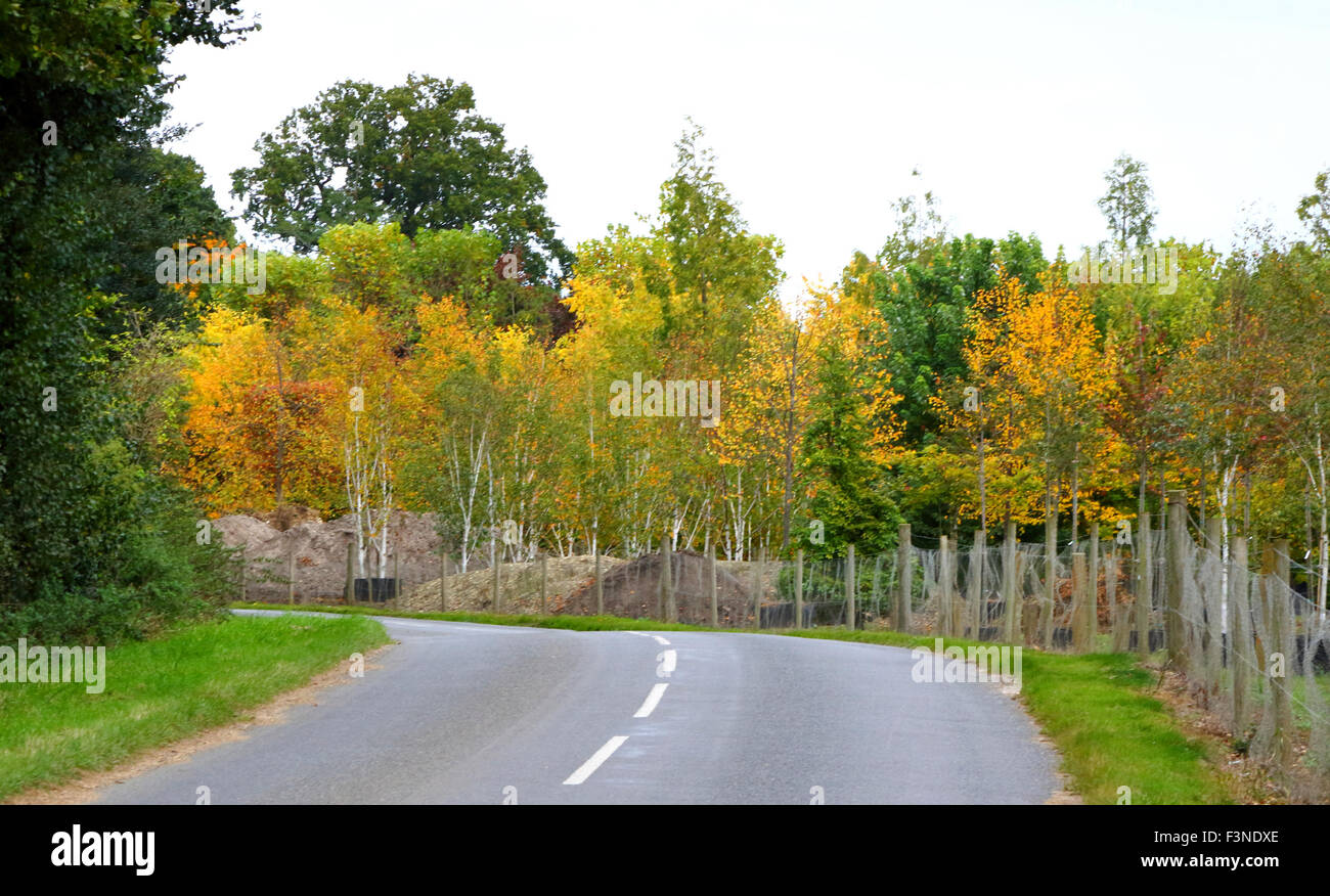 Southill hi-res stock photography and images - Alamy