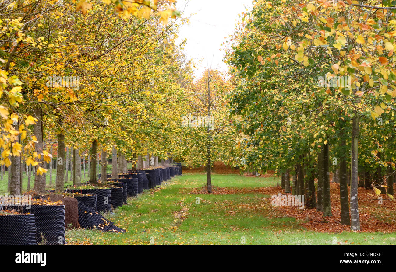 Southill hi-res stock photography and images - Alamy