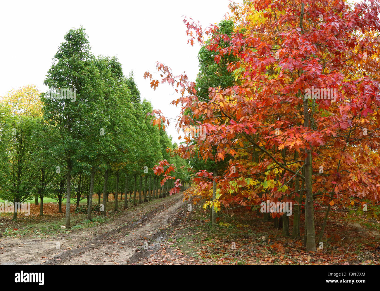 Southill hi-res stock photography and images - Alamy