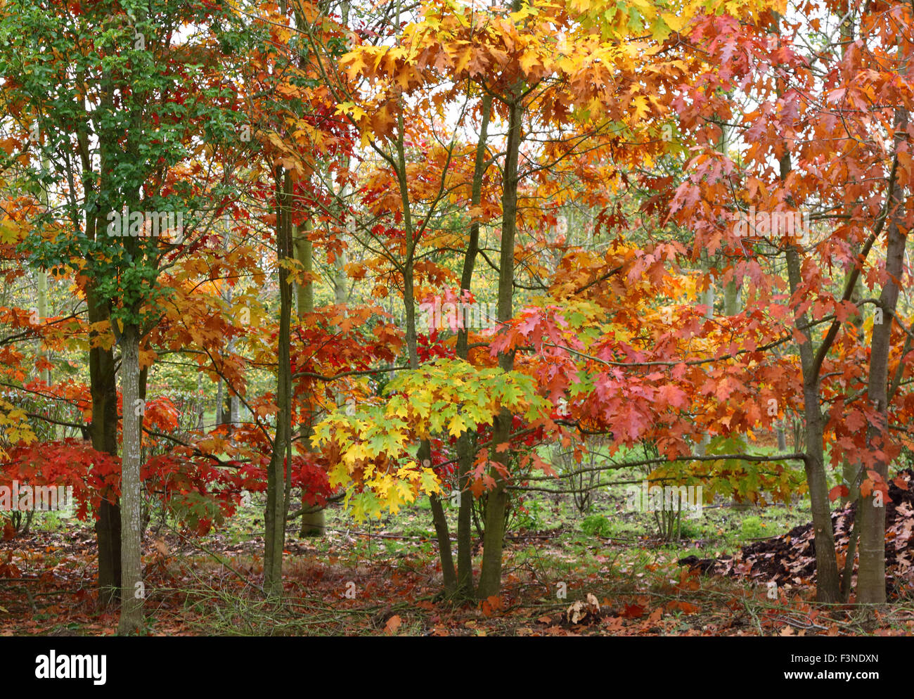 Southill hi-res stock photography and images - Alamy