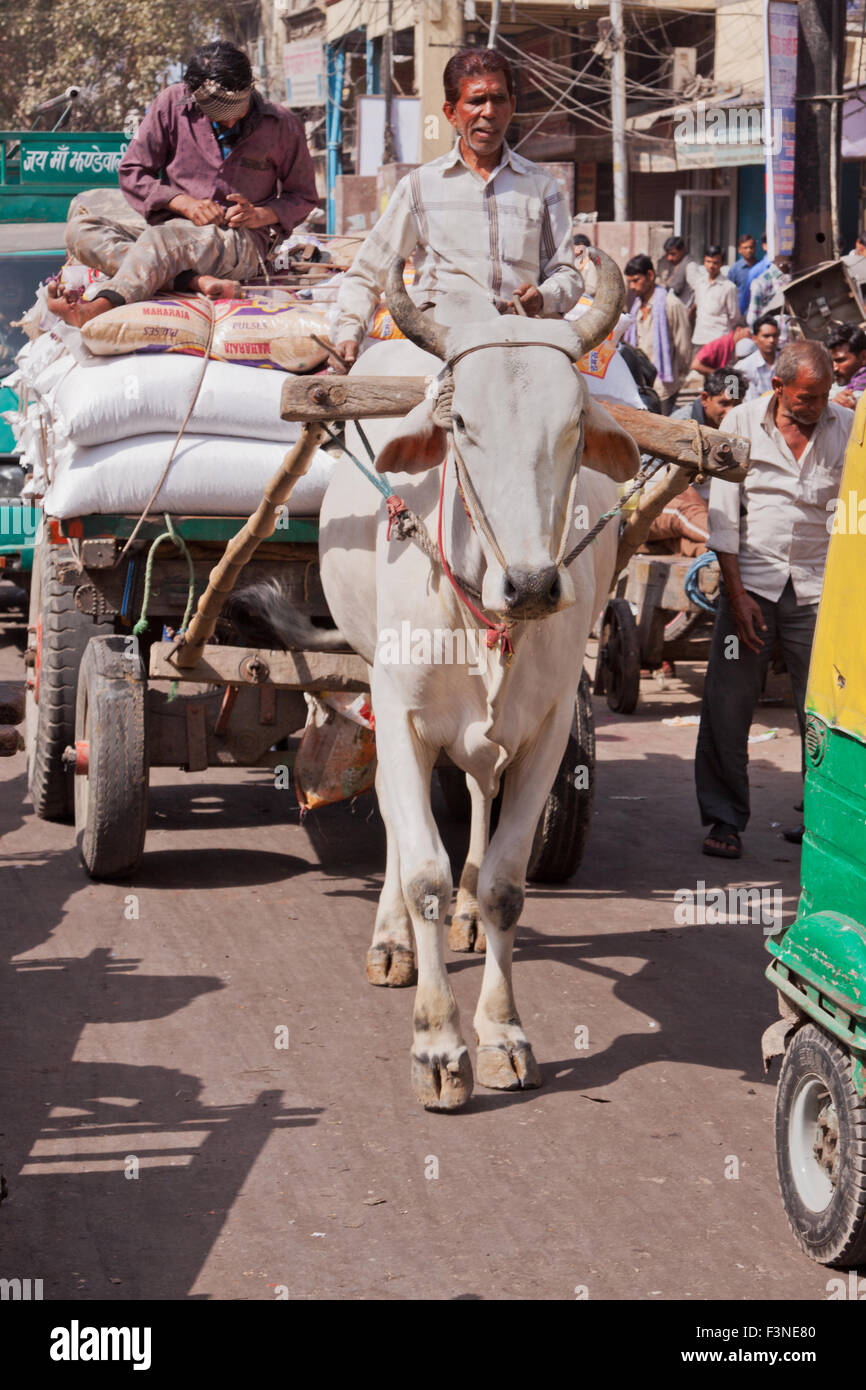 Indian Bullock Cart High Resolution Stock Photography and Images - Alamy