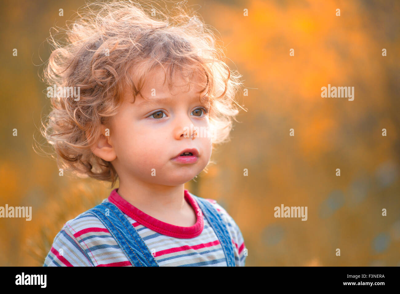 The portrait of a 1 and a half year old baby boy enjoying the outdoors in autumn Stock Photo - Alamy