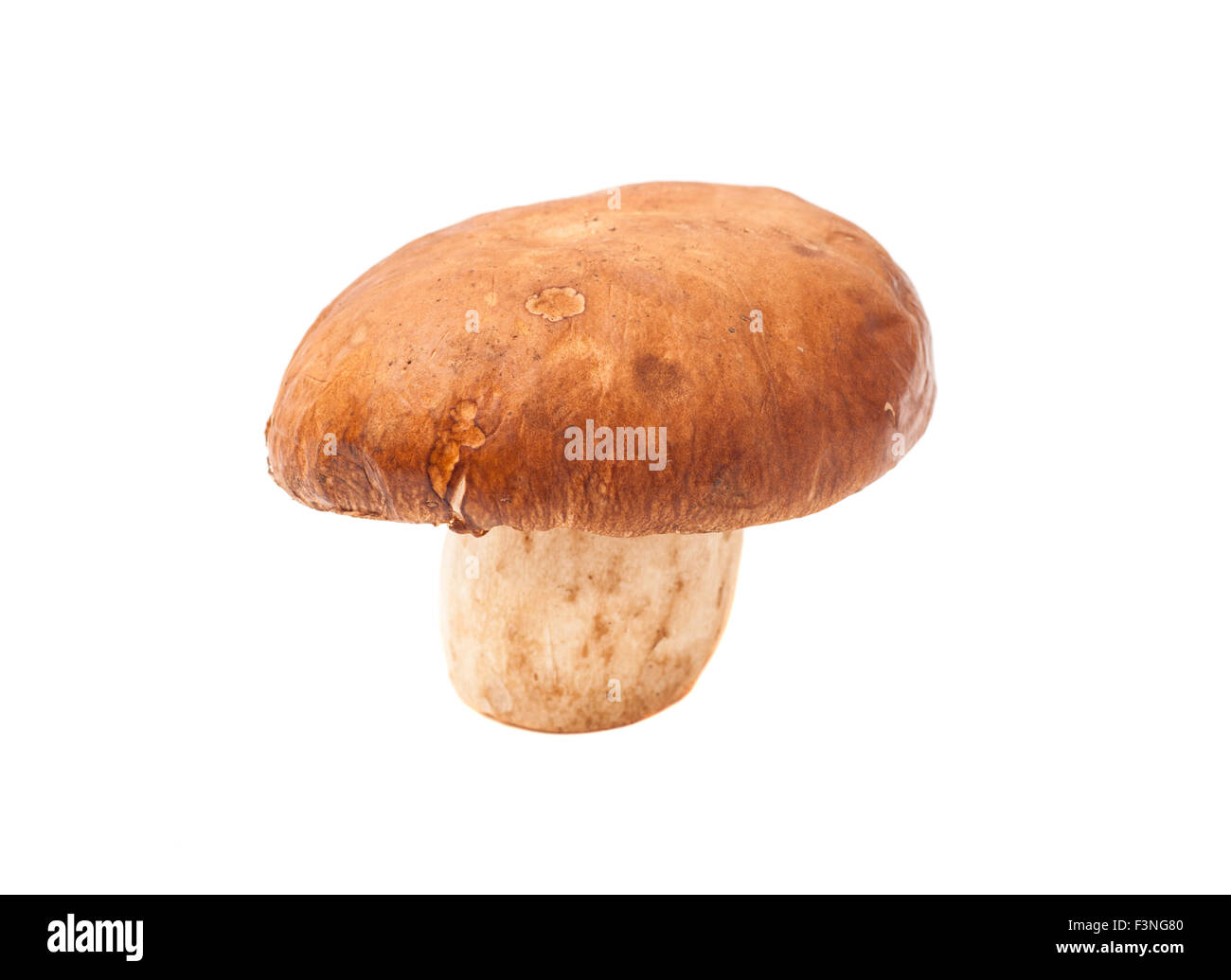 Easy grow food Cut Out Stock Images & Pictures - Alamy