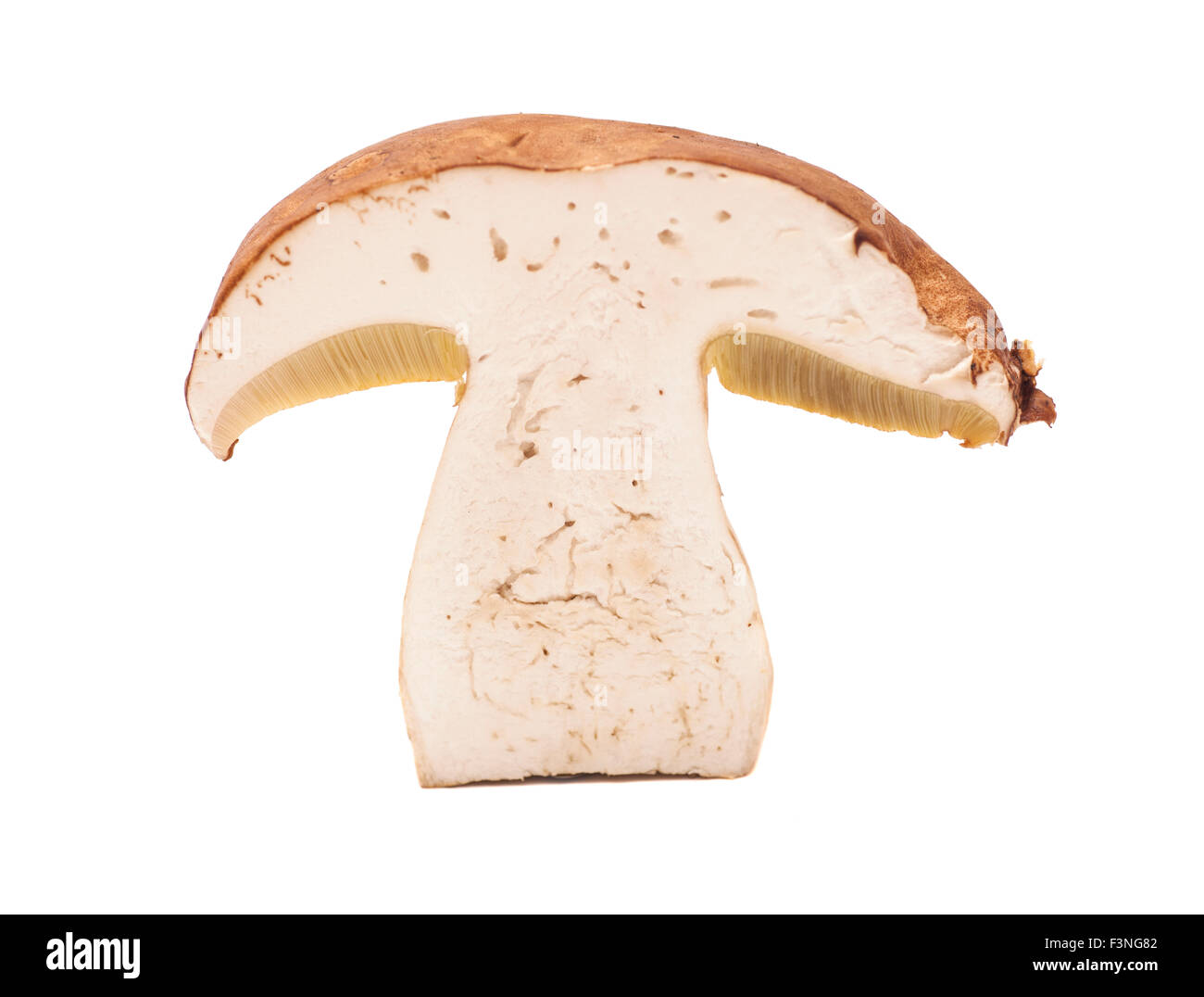 Slice of mushroom isolated on white background Stock Photo - Alamy