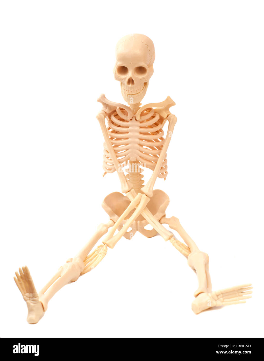 sitting skeleton isolated on white Stock Photo - Alamy