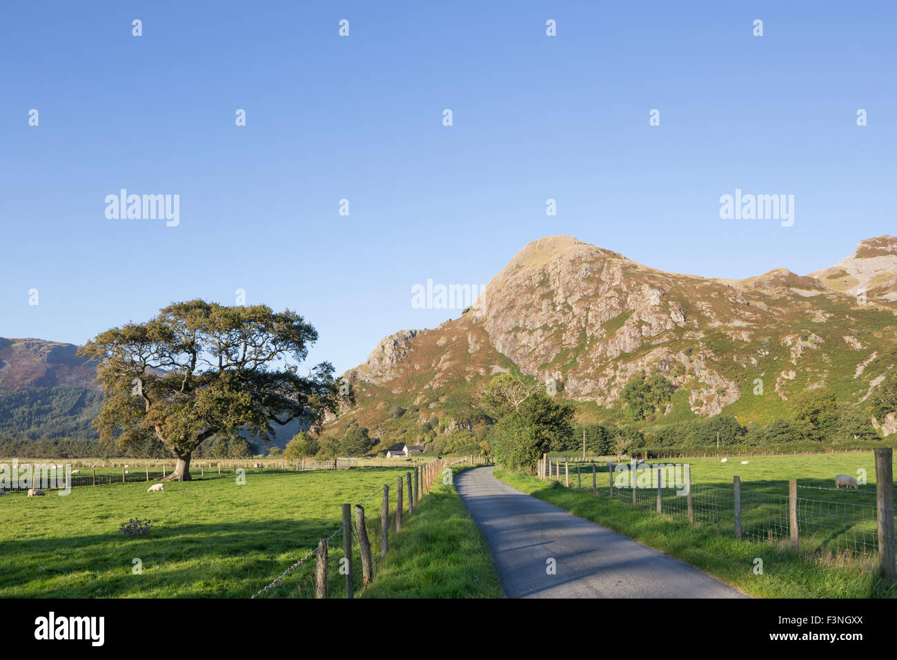 Craig yr Aderyn "Birds Rock" Snowdonia National Park, Gwynedd, Wales UK ...