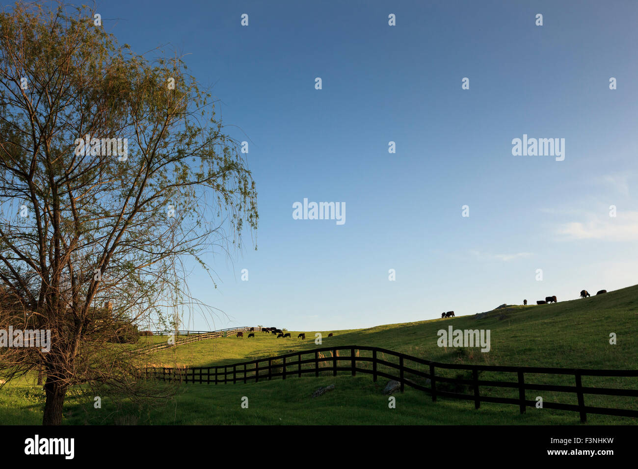 Middleburg va hi-res stock photography and images - Alamy