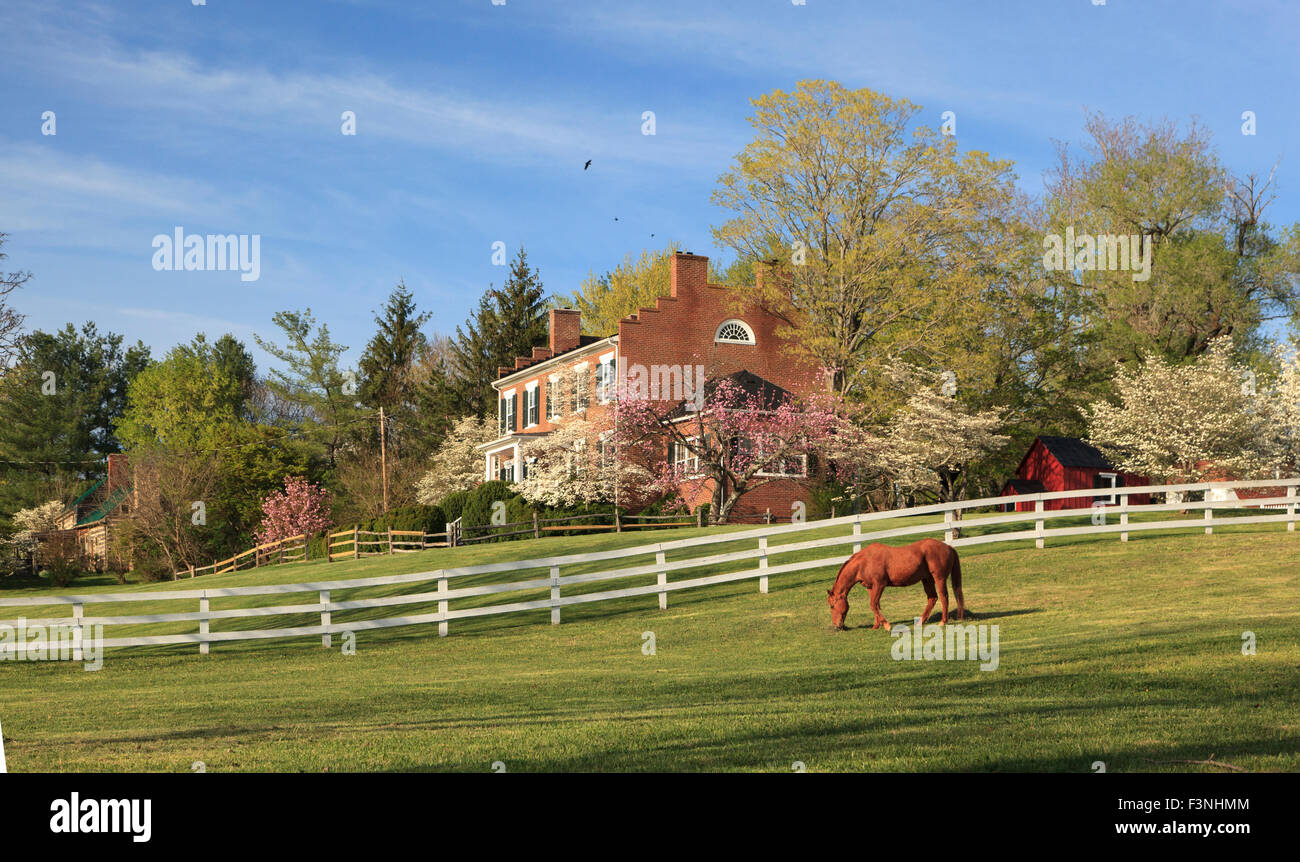 Virginia countryside horse usa hi-res stock photography and images - Alamy