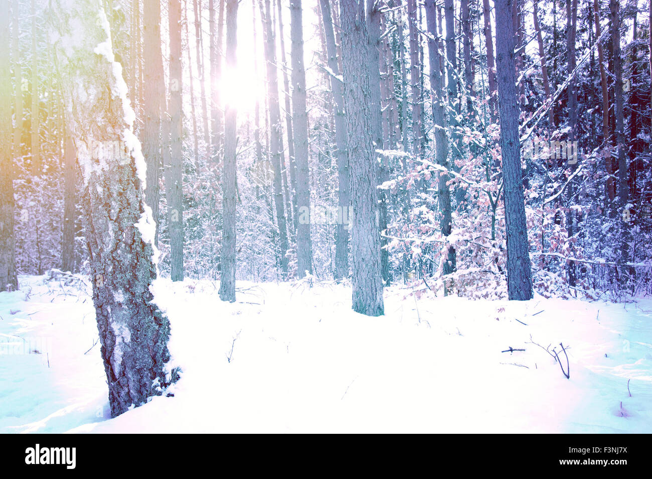 Cold sun hi-res stock photography and images - Alamy