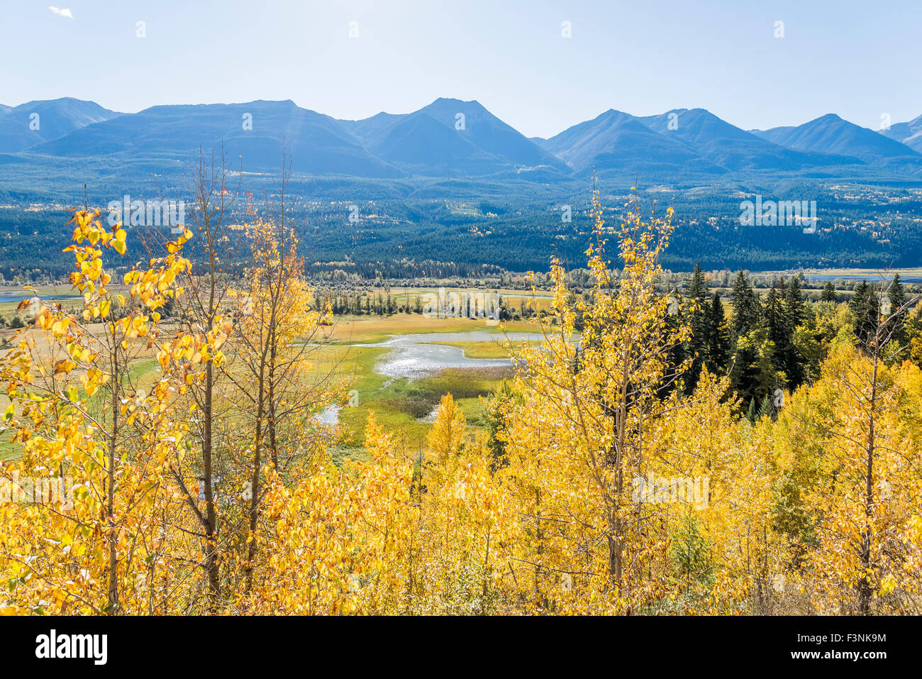 British wetlands hi-res stock photography and images - Alamy