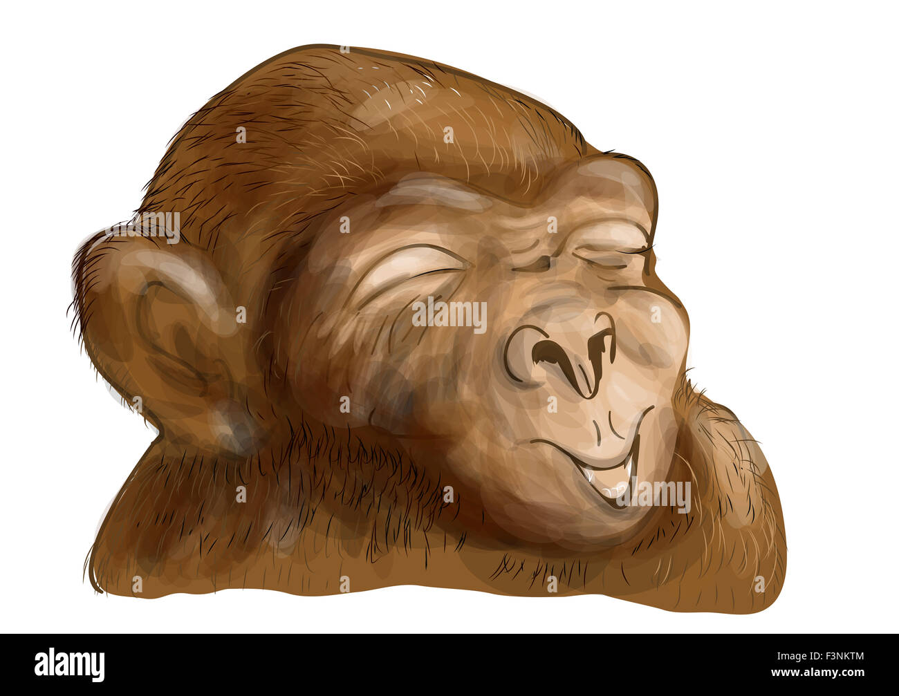 chimpanzee with smiley face Stock Photo - Alamy