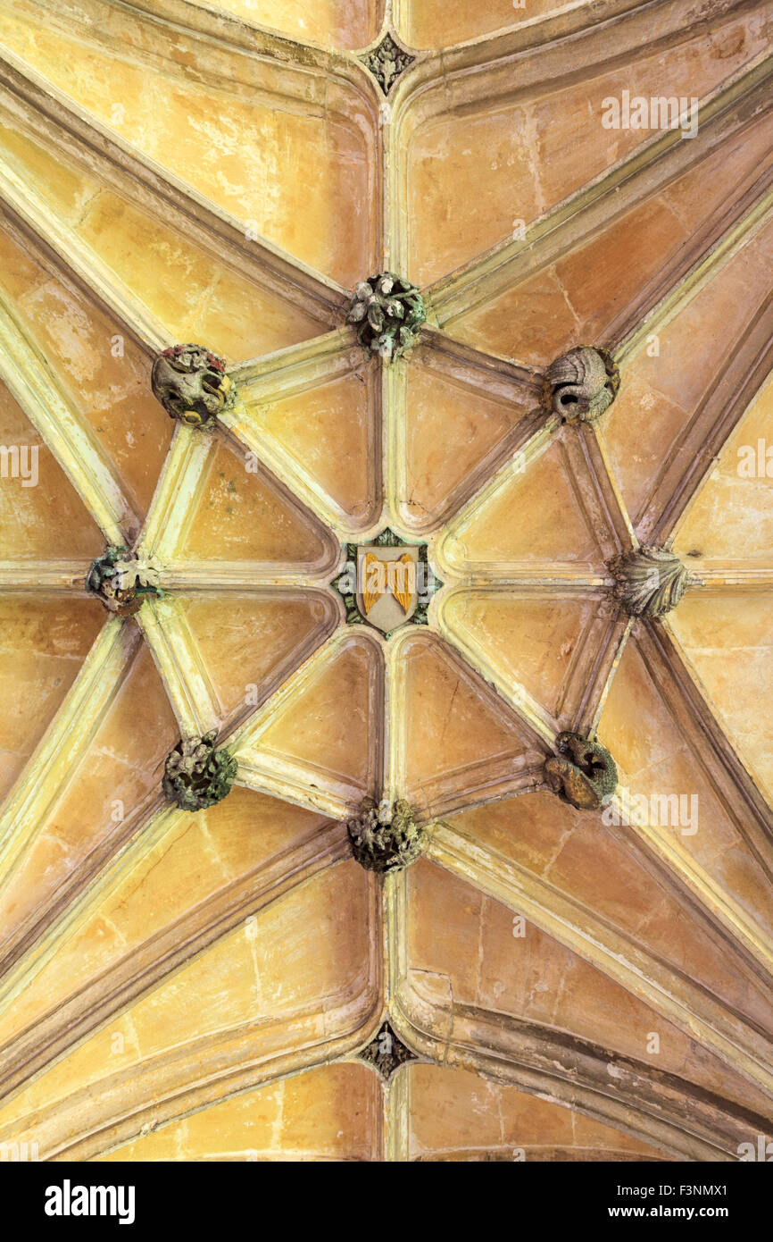 Laycock abbey hi-res stock photography and images - Alamy