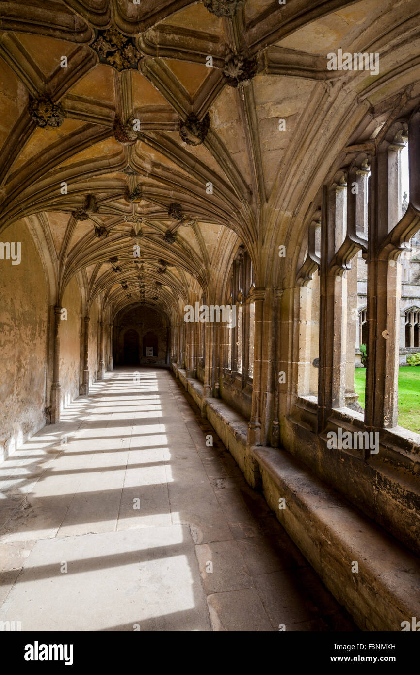 The Cloisters at Laycock Abbey, Wiltshire, England Stock Photo - Alamy