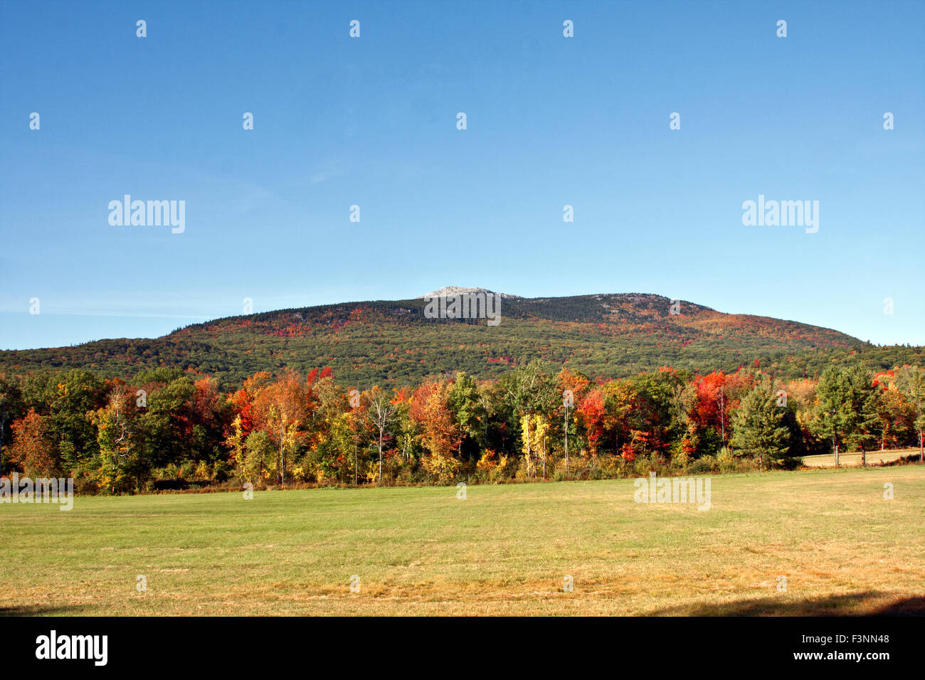 Autumn in New England USA, fall foliage on forest trees Stock Photo - Alamy