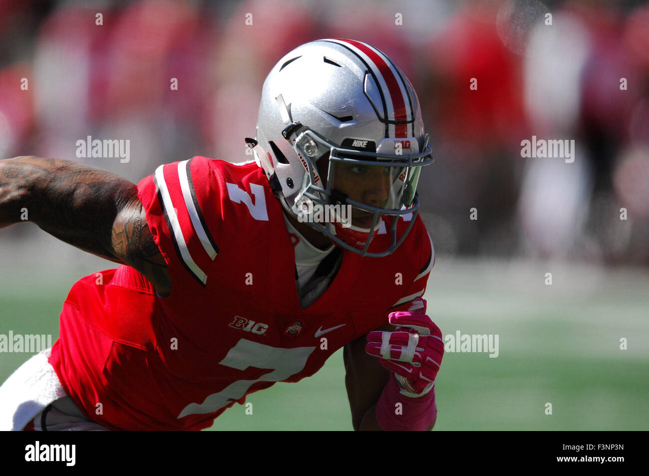 Jalin High Resolution Stock Photography and Images - Alamy