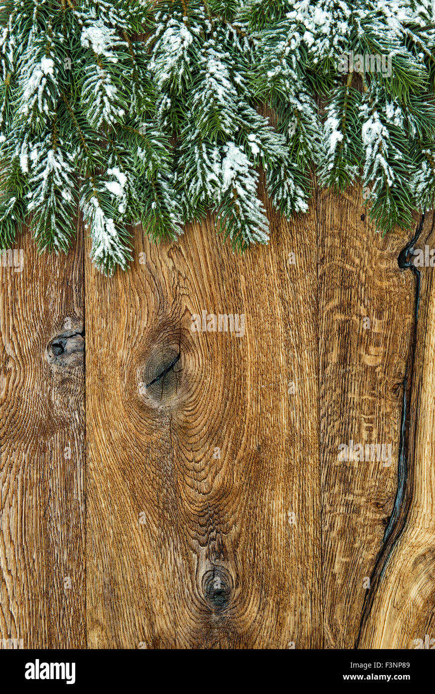 Undecorated christmas tree hi-res stock photography and images - Alamy