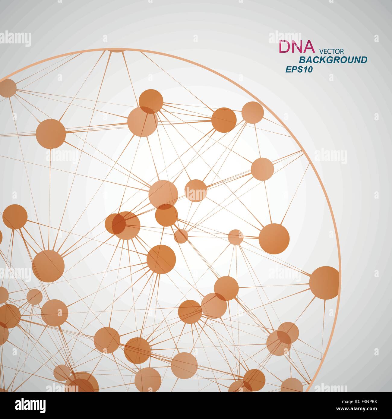 Vector network connection and DNA eps10 Stock Vector Image & Art - Alamy