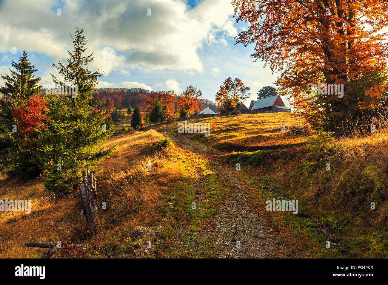 Morning in Carpathians mountain Transylvania,Romania Stock Photo - Alamy