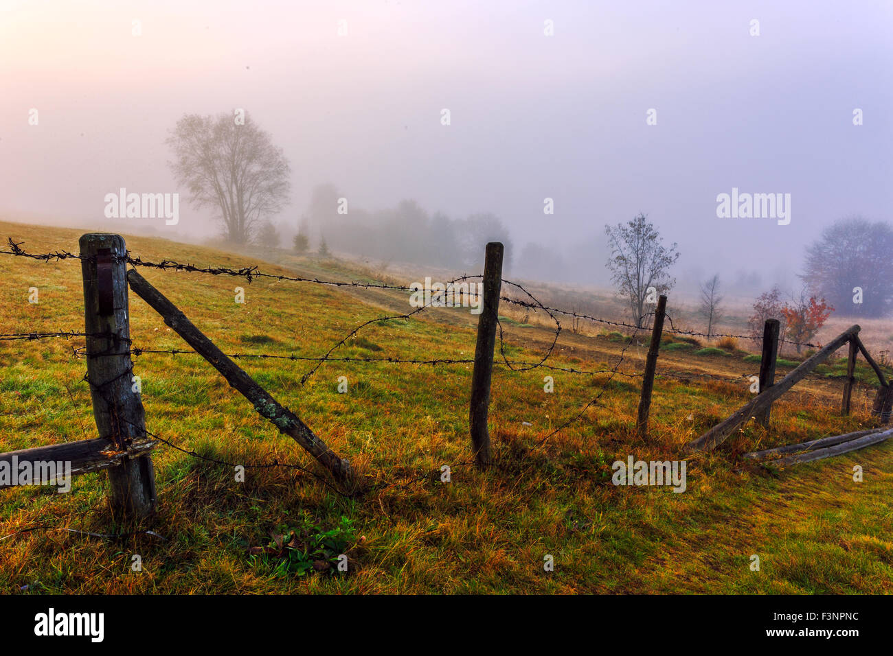 Fence in landscape hi-res stock photography and images - Alamy