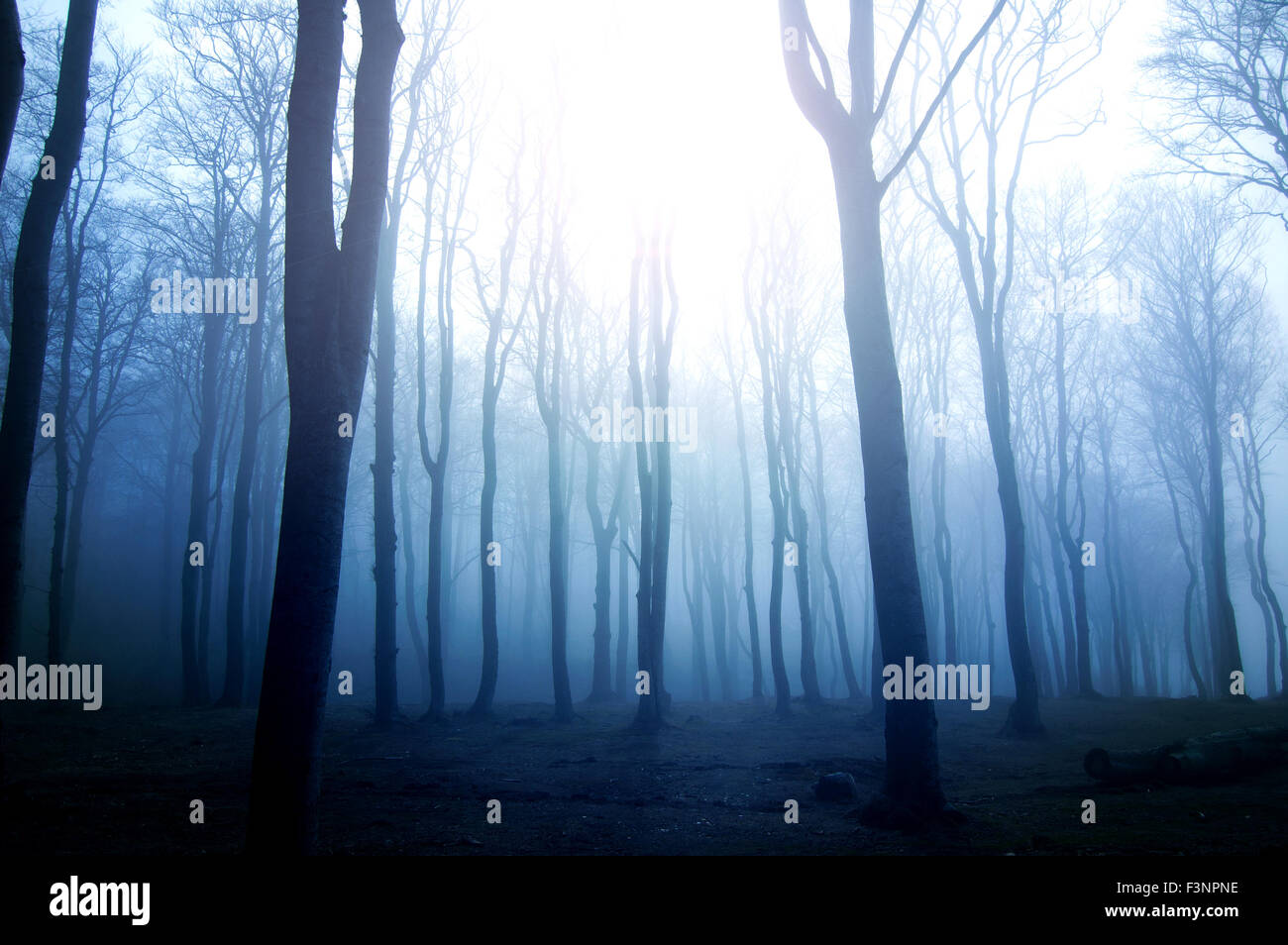 Fear in nature hi-res stock photography and images - Alamy