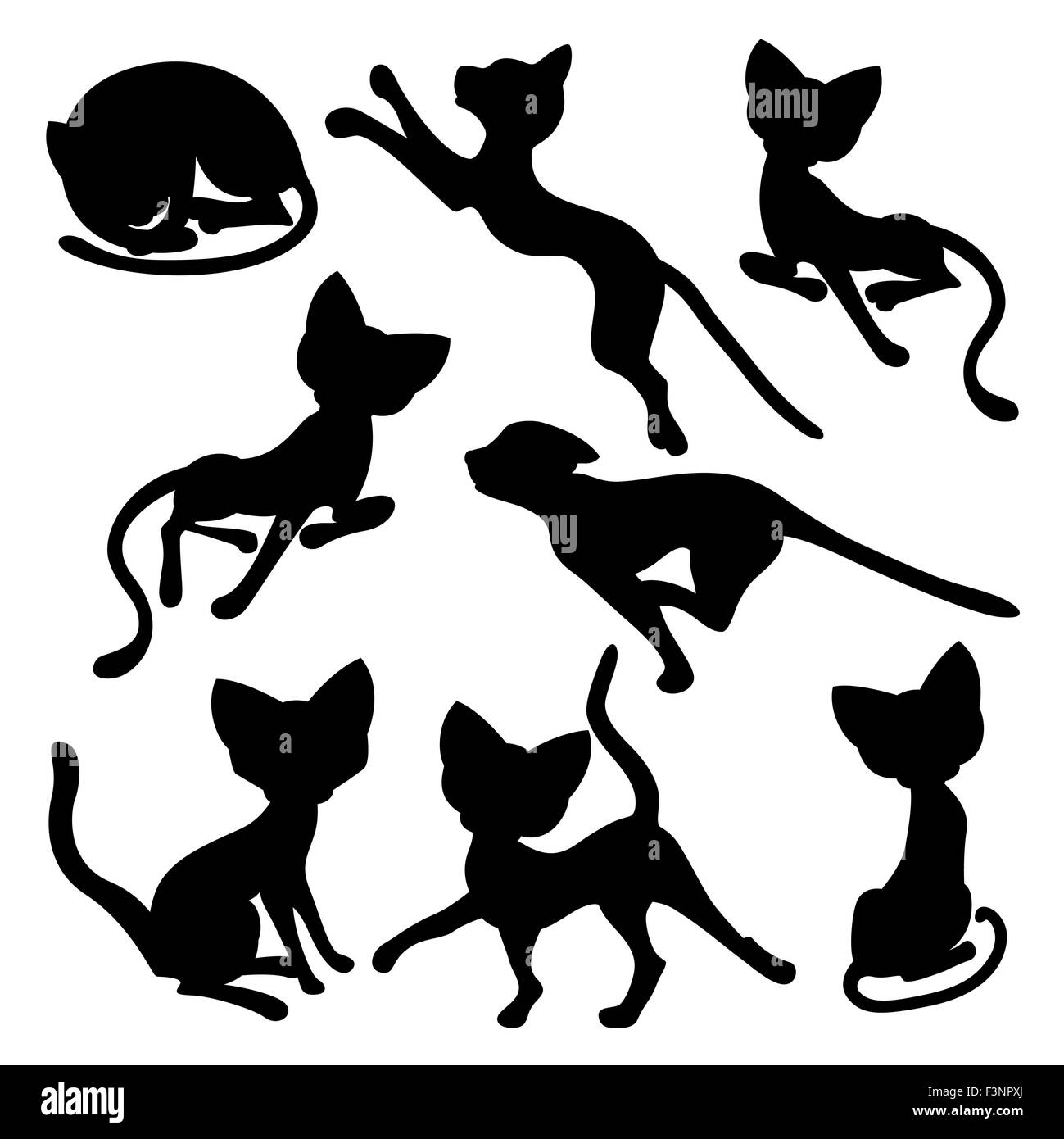 Set of eight black silhouettes of funny cats isolated on a white ...