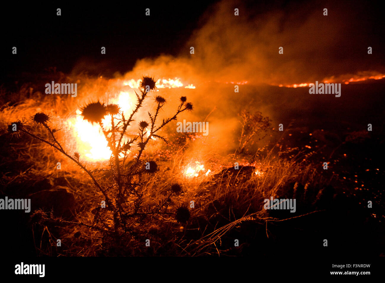 Sparks Flying In A Fire High Resolution Stock Photography and Images ...