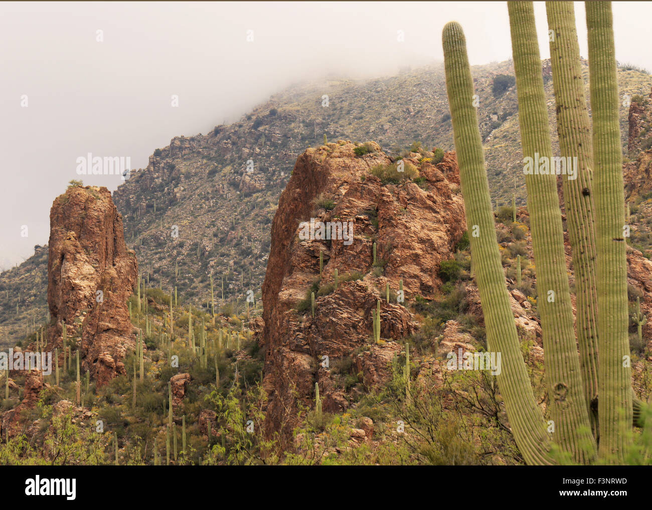 Ventana hi-res stock photography and images - Alamy