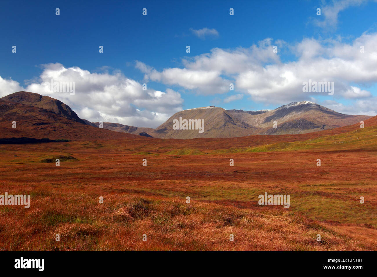The stunning mountain range Black Mount in the Scottish Highlands in ...