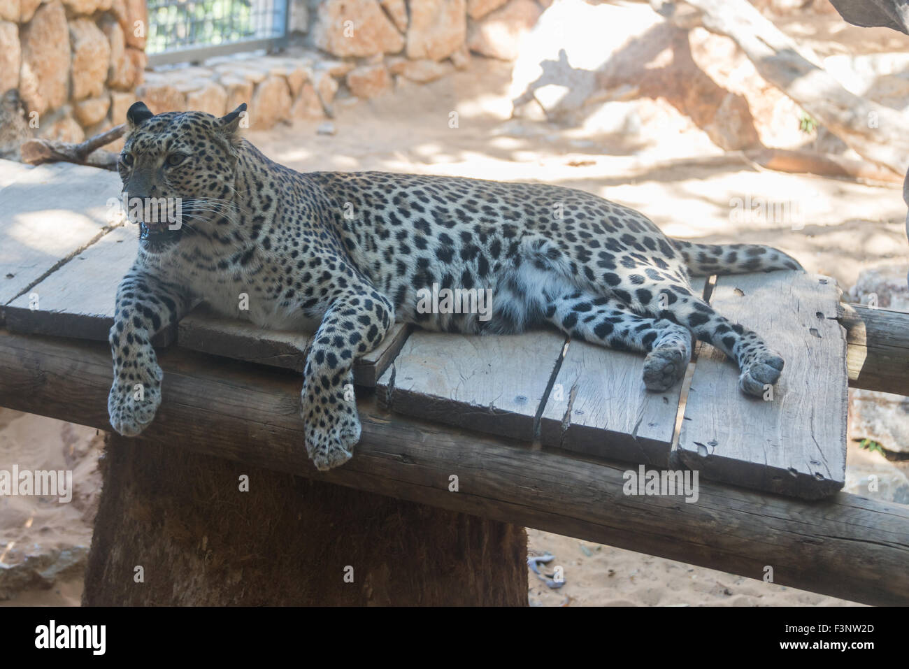 Haifa Zoo, Israel Stock Photo - Alamy
