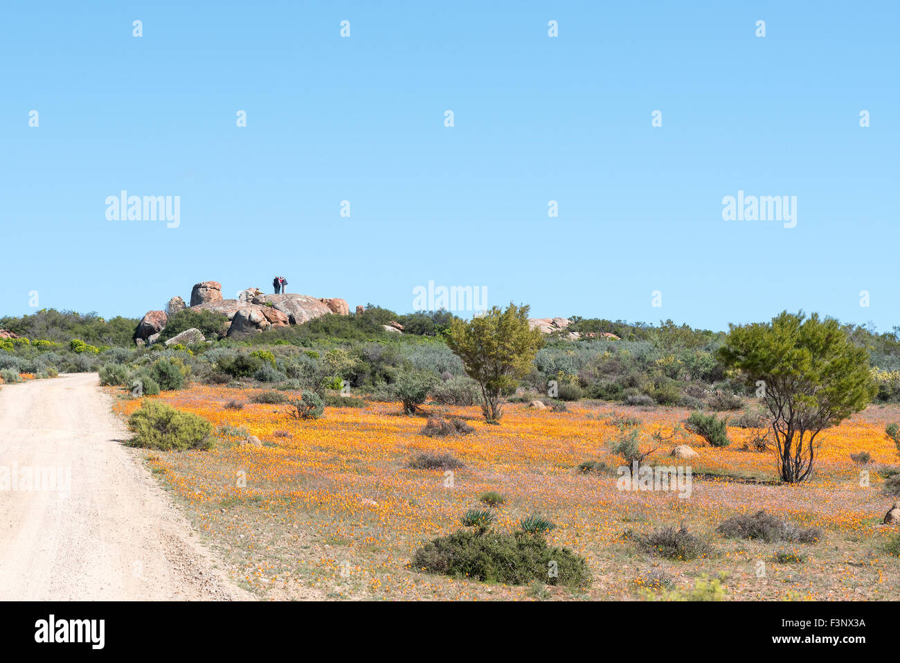 SKILPAD, SOUTH AFRICA - AUGUST 19, 2015: Tourists at the Roof of ...