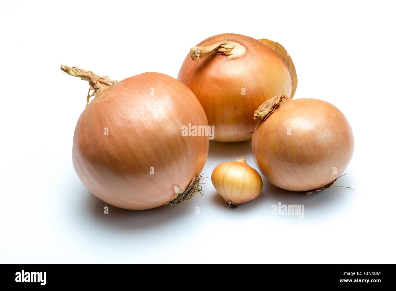 onions of different size isolated on white background Stock Photo - Alamy