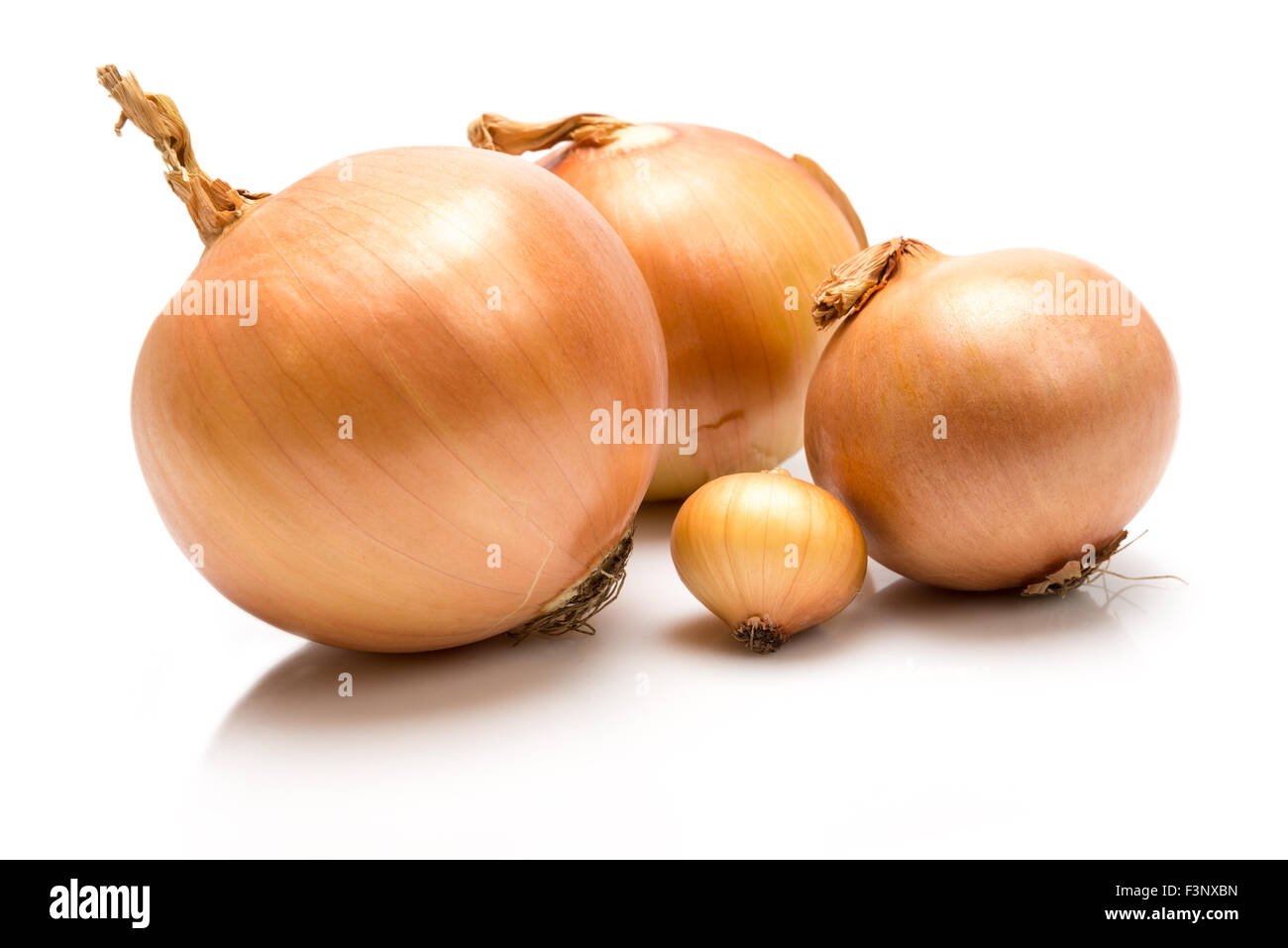 onions of different size isolated on white background Stock Photo - Alamy