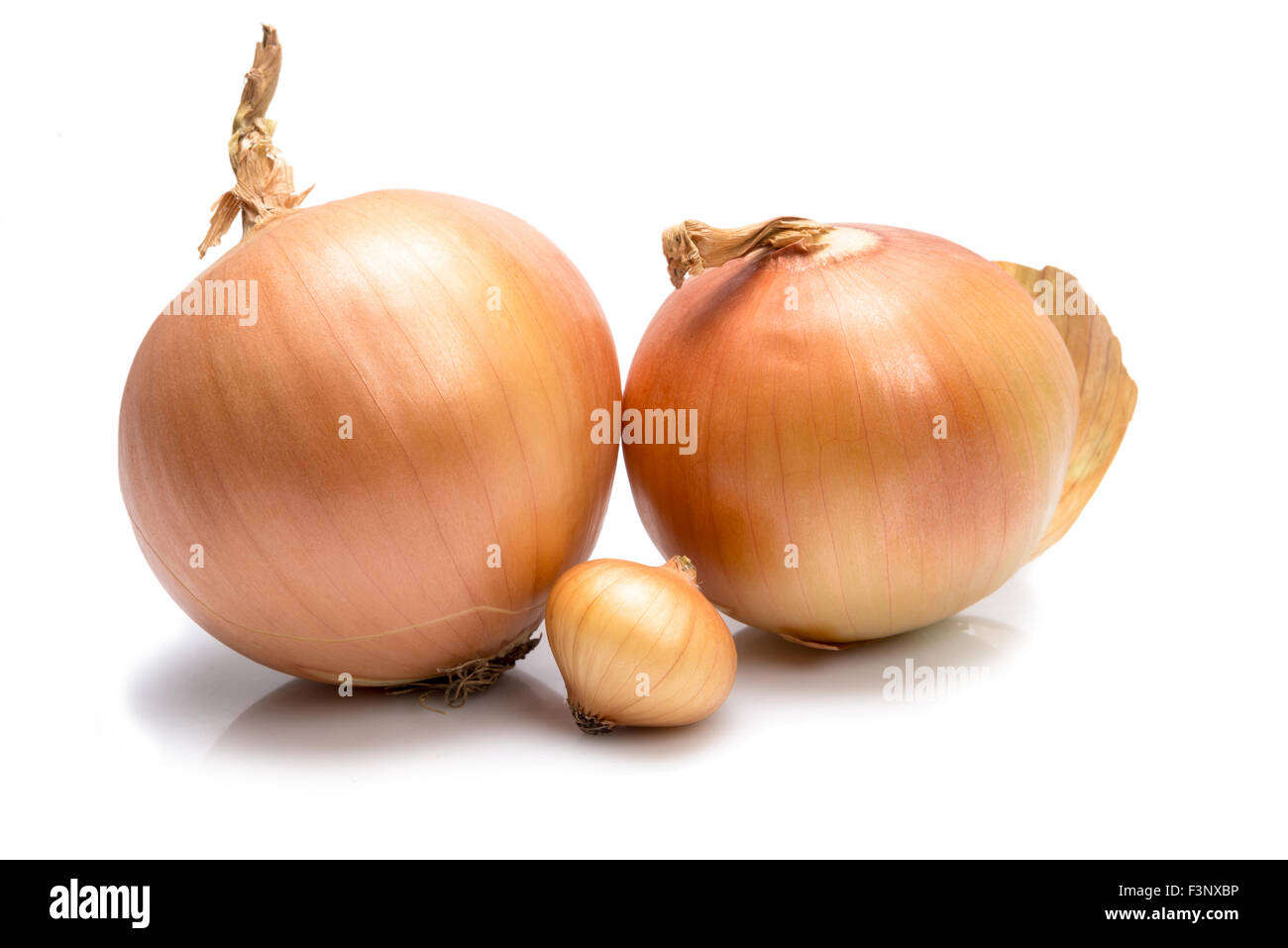 onions of different size isolated on white background Stock Photo - Alamy