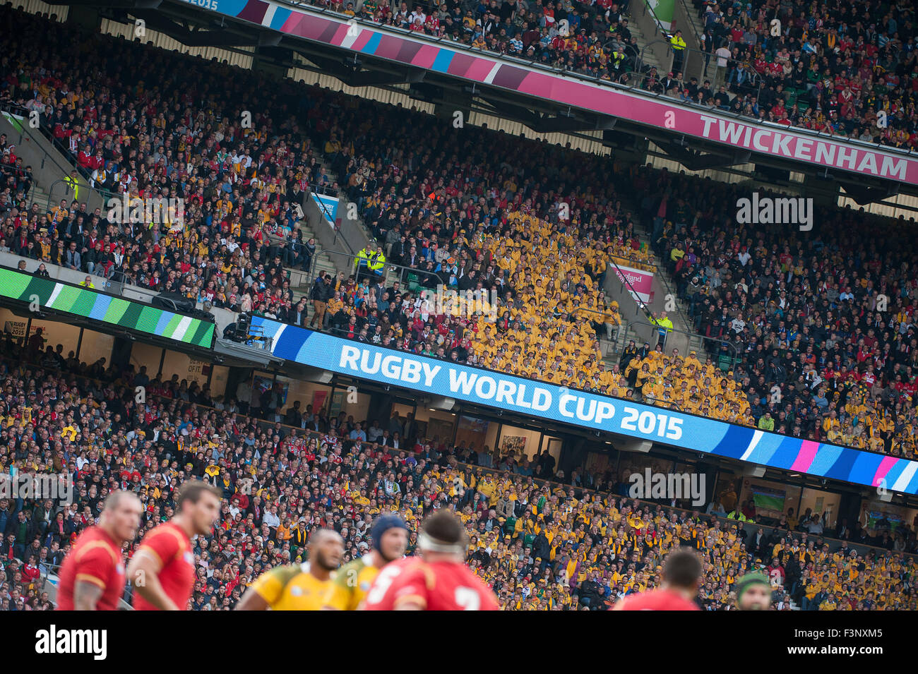 Australian rugby fans hi-res stock photography and images - Alamy