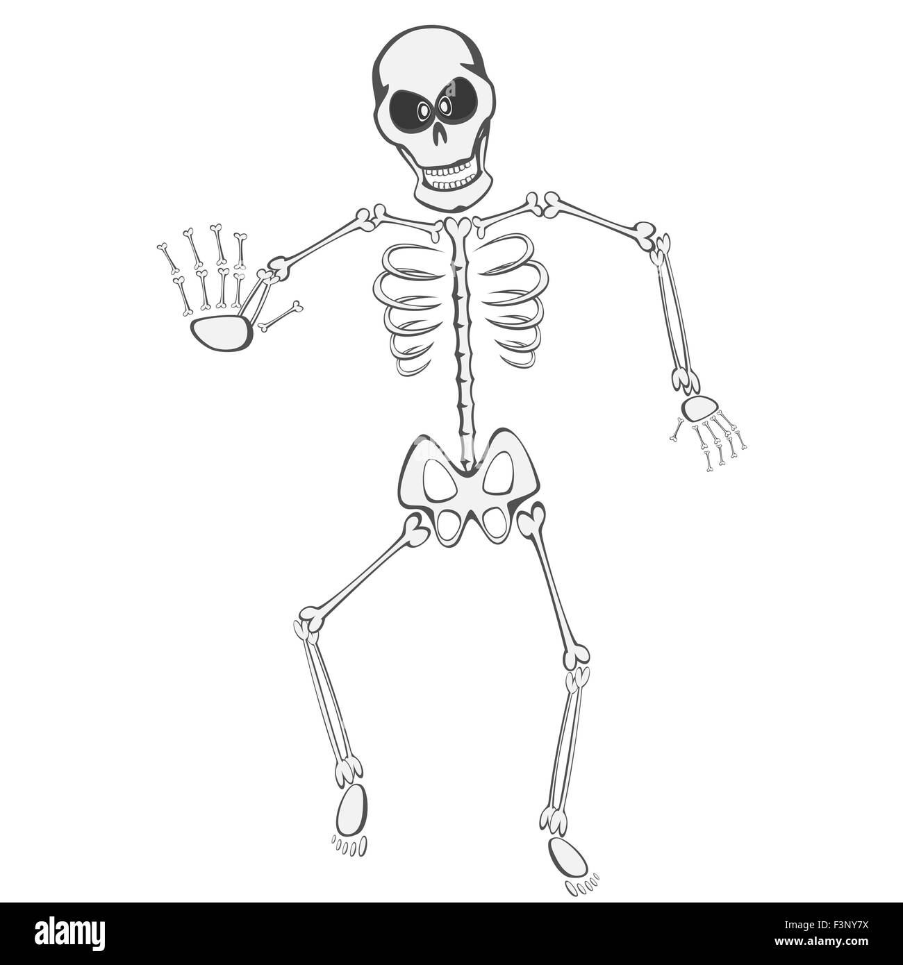 Cool Skeleton Stock Photos & Cool Skeleton Stock Images - Alamy