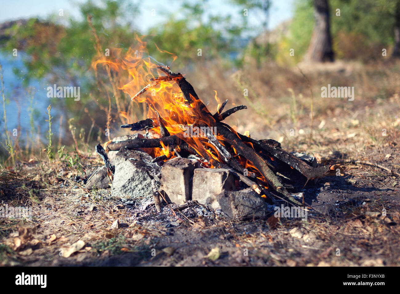 Bonfire in the autumn forest. Coals of fire. Background Stock Photo - Alamy