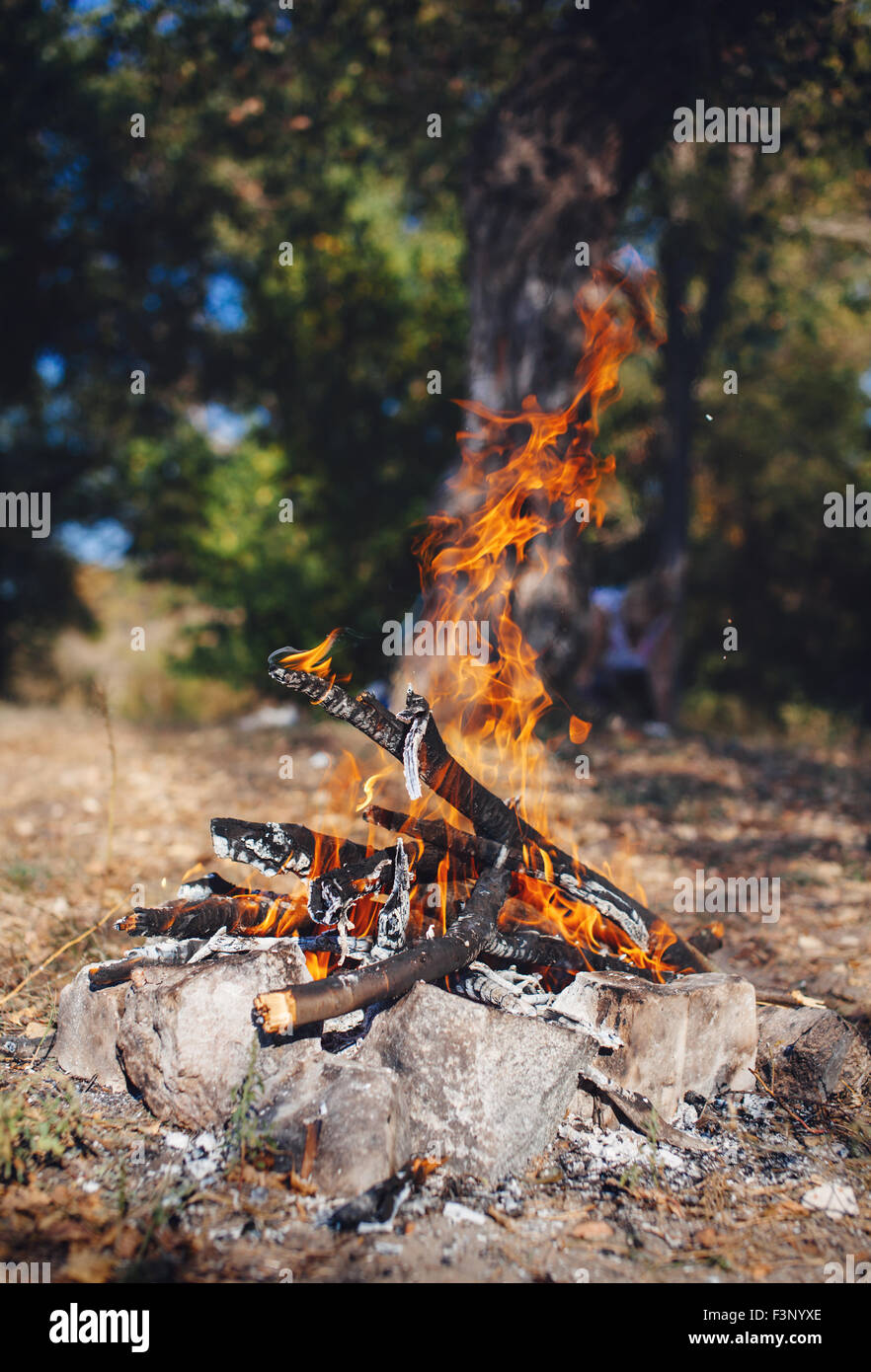 Bonfire in the autumn forest. Coals of fire. Background Stock Photo - Alamy