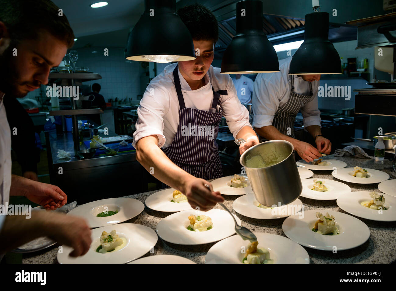 Young chef plating gourmet food Stock Photo - Alamy