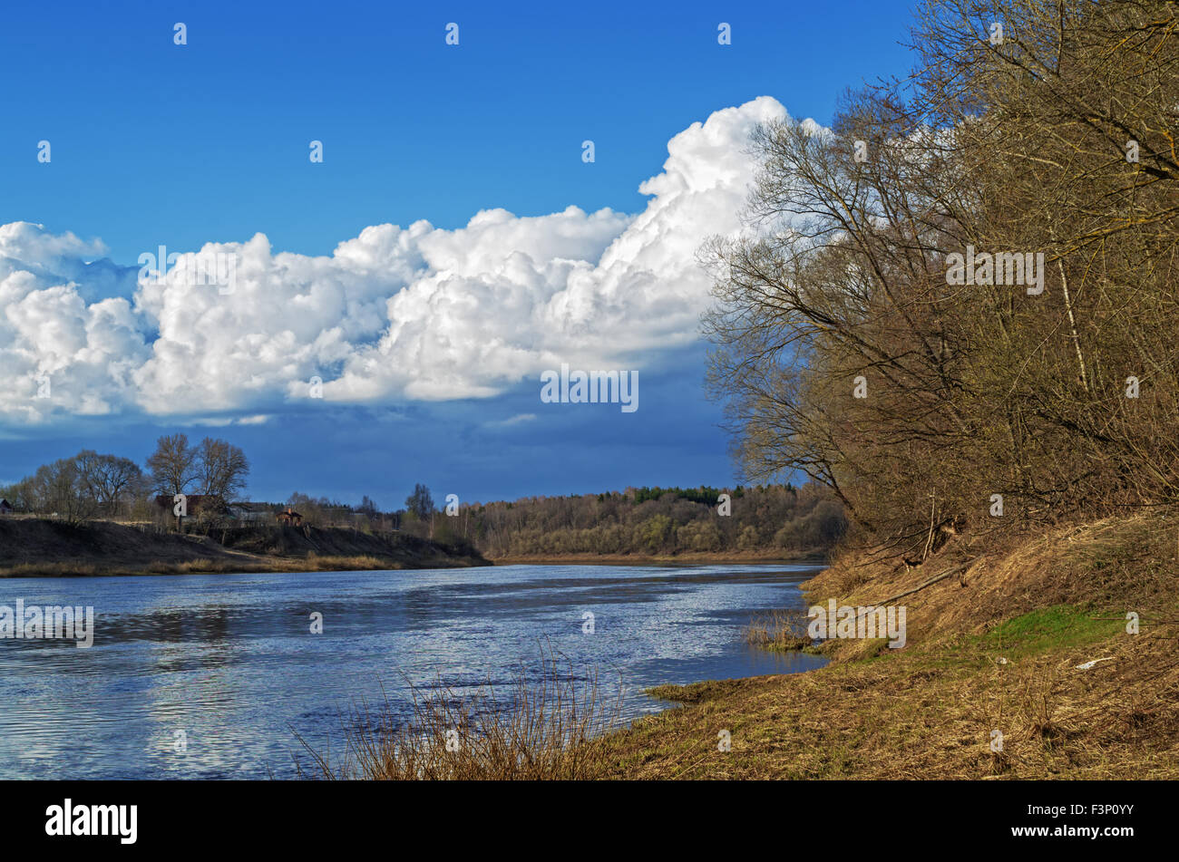 Spring river landscape with dry grass Stock Photo - Alamy