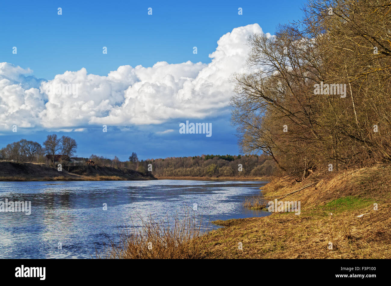 Spring river landscape with dry grass Stock Photo - Alamy