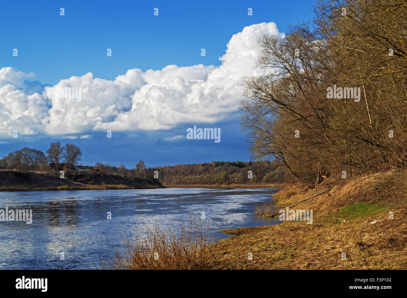 Spring river landscape with dry grass Stock Photo - Alamy