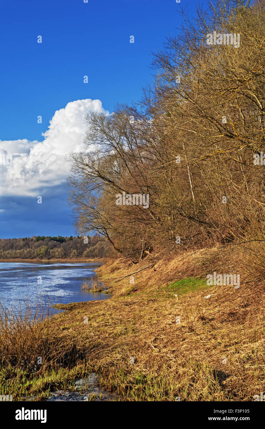 Spring river landscape with dry grass Stock Photo - Alamy