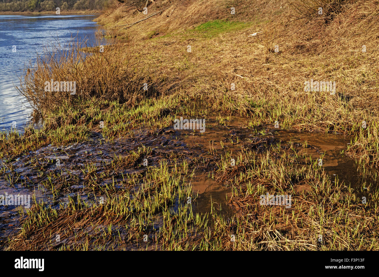 Spring river landscape with dry grass Stock Photo - Alamy