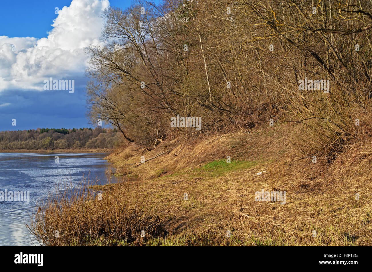 Spring river landscape with dry grass Stock Photo - Alamy